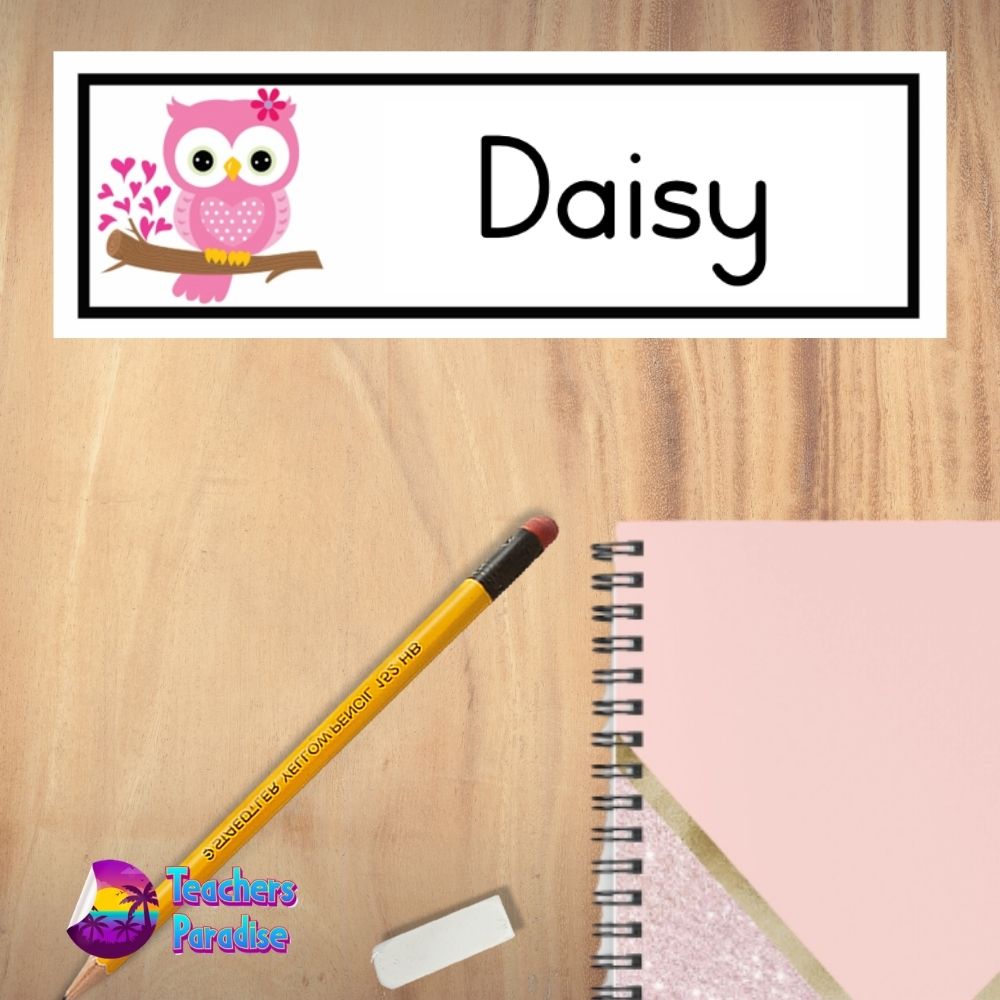 Owls Name Plate - Variety - Teachers Trove